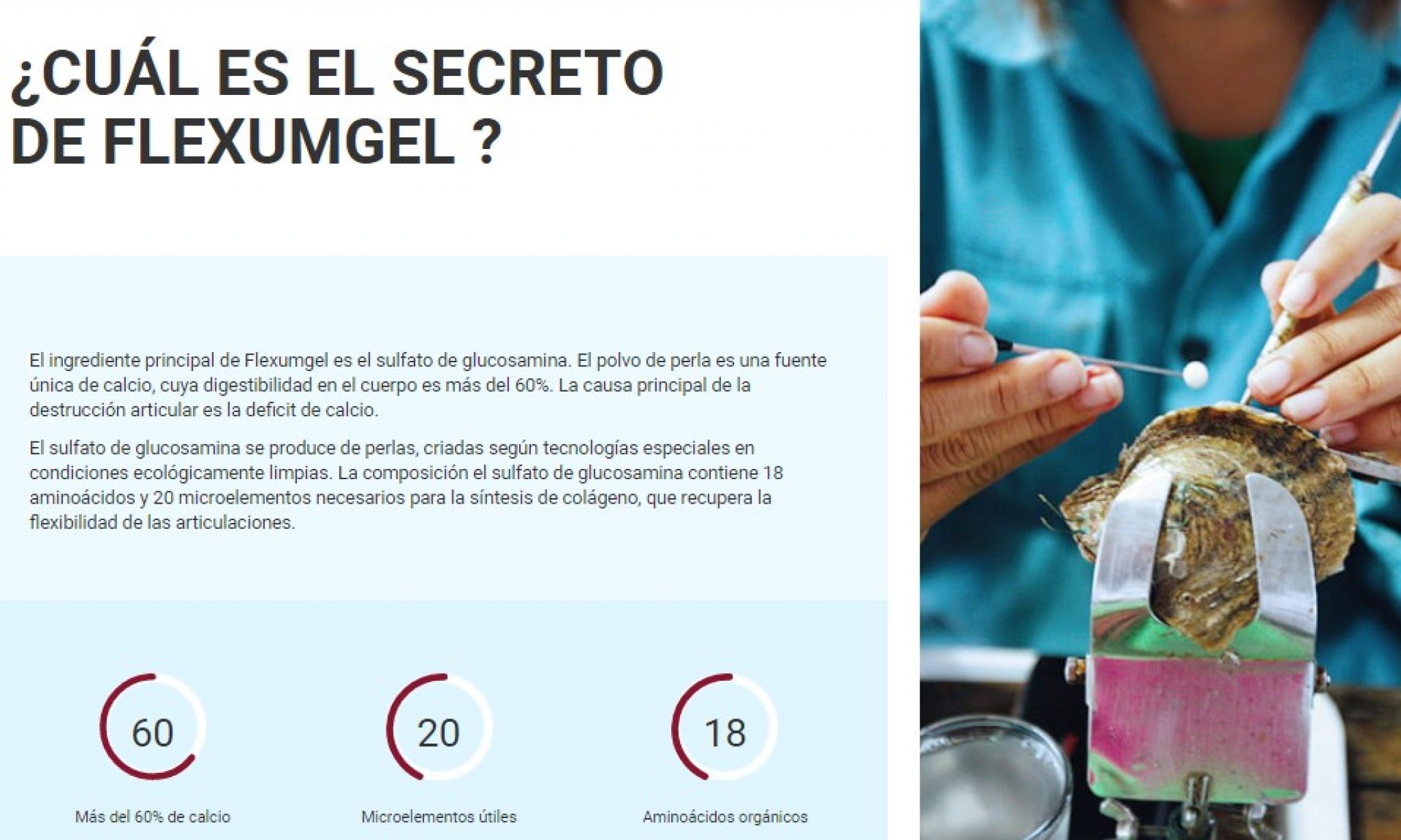 Flexumgel, alivio inmediato para las articulaciones – Microbiology Bytes