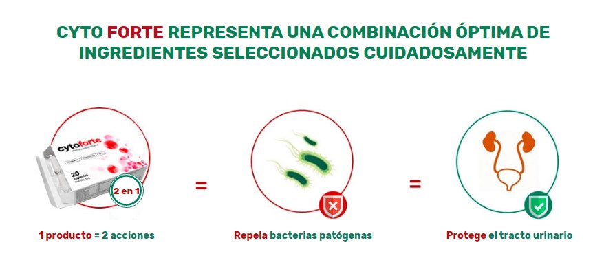 CytoForte: gana la batalla contra la cistitis y elimina sus síntomas en ...
