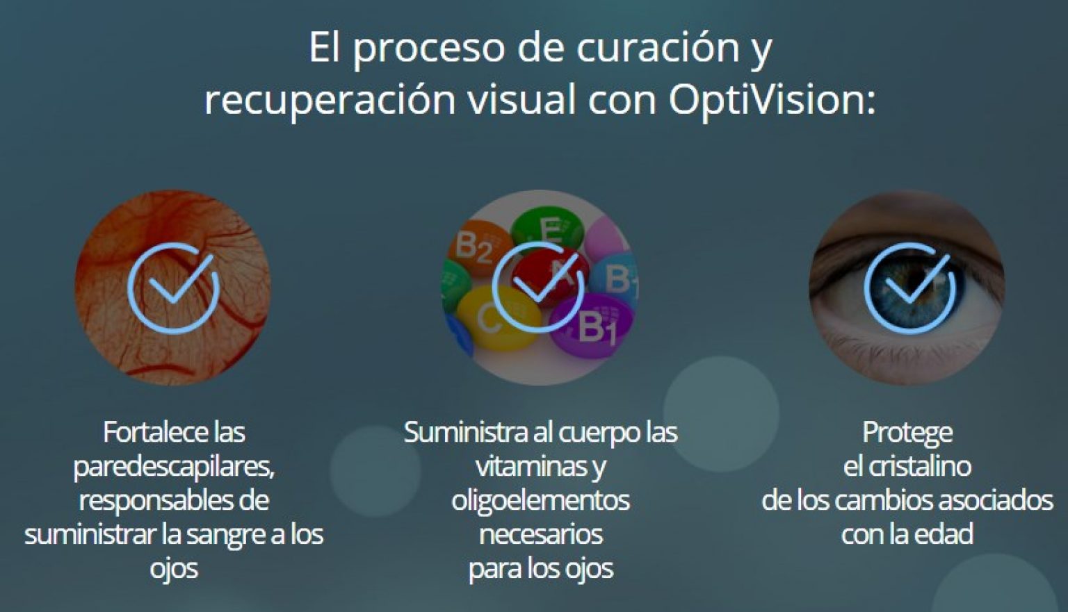 ᐉ Optivision en farmacia - [50% de descuento] Precio - Reales medicas ...