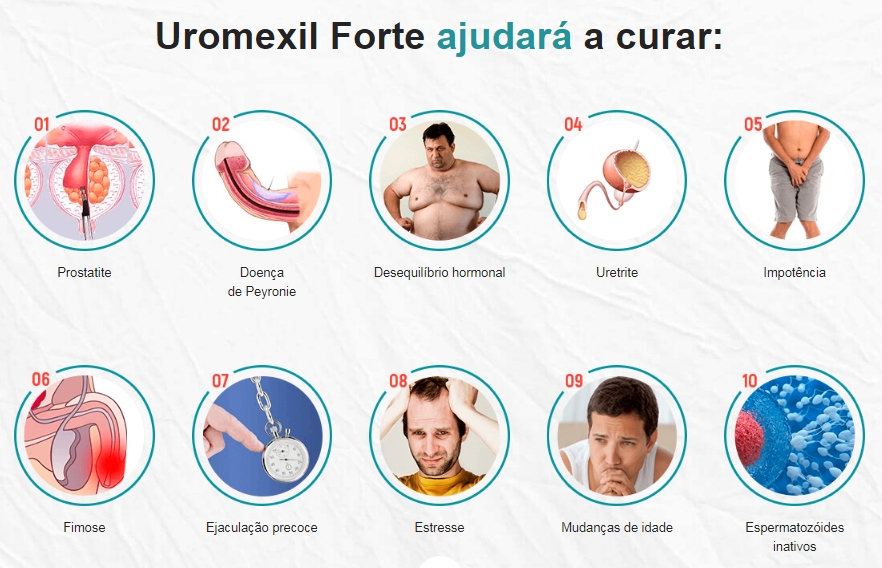 Comprimidos Uromexil Forte para a saúde masculina – preço nas farmácias ...
