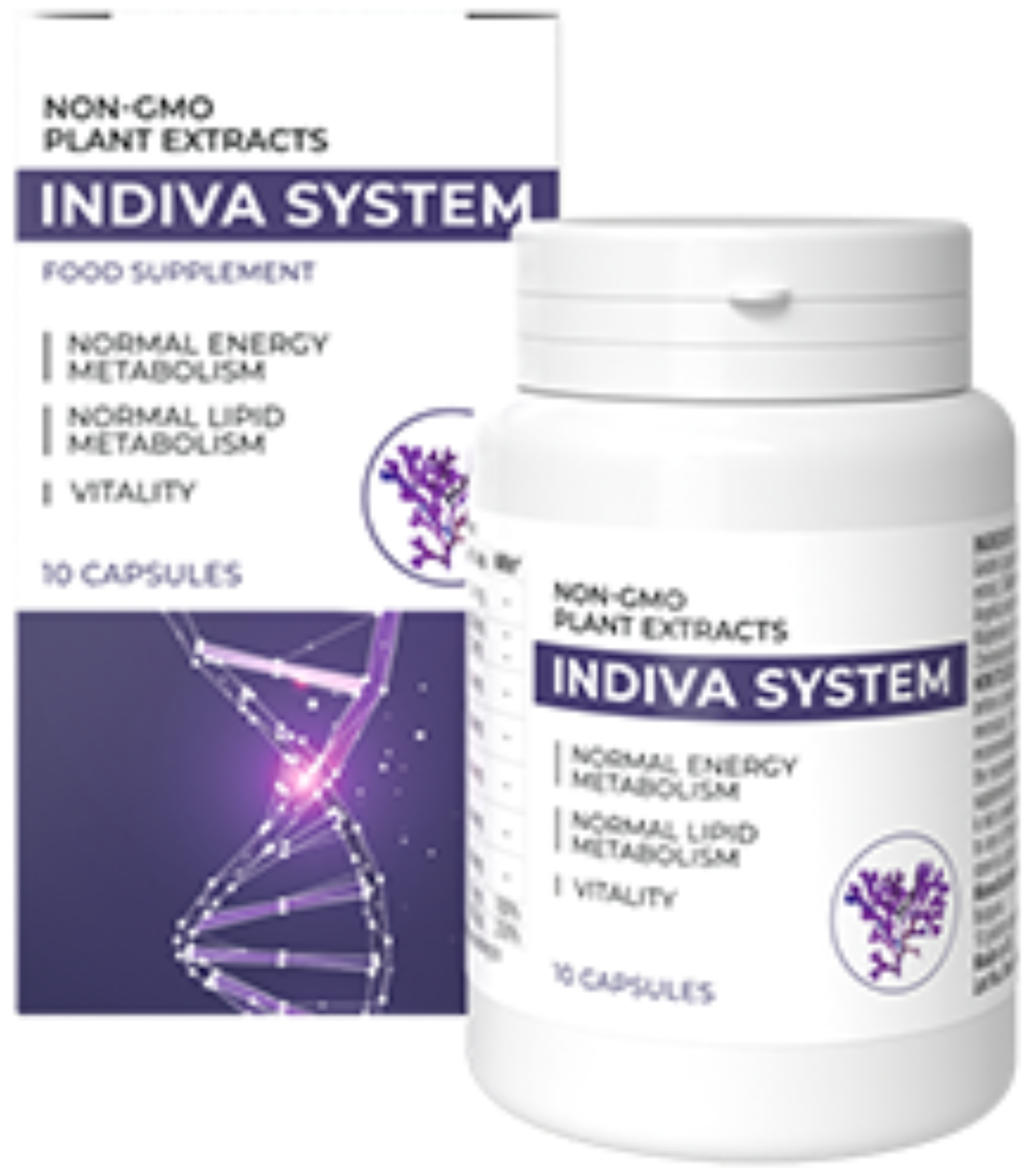 ᐉ InDiva System cápsulas adelgazantes – críticas, comprar en Espana ...